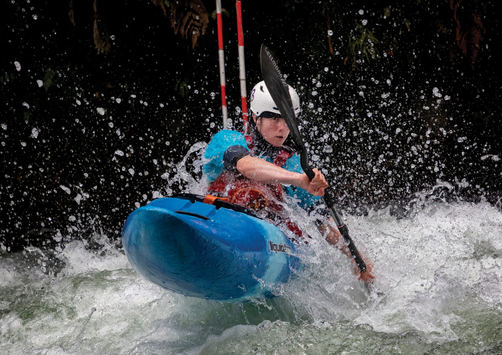 Who we support - Rotorua Trust