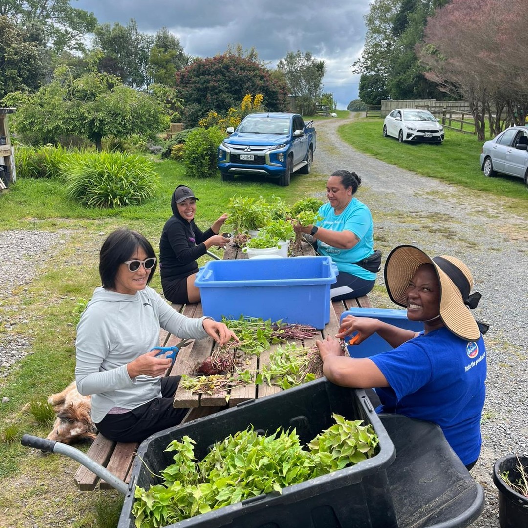 Kai Rotorua: Cultivating Connection, Culture and Sustainability ...